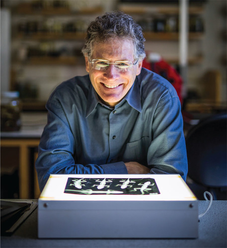 Science Magazine - July 31, 2020 Lizard Man