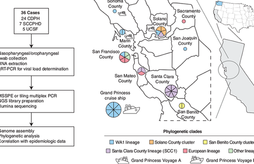 Science Magazine - July 31, 2020 Genomic surveillance reveals multiple ...