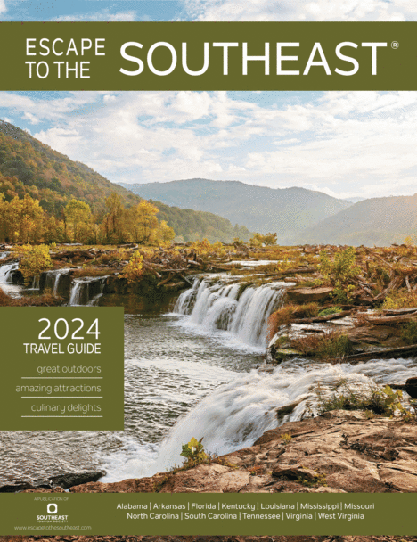 Escape to the SouthEast (STSA) - Issue Library
