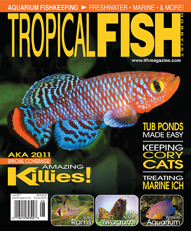 Tropical Fish Hobbyist - June 2011