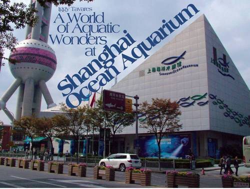 Tropical Fish Hobbyist - April 2015 A World of Aquatic Wonders at ...