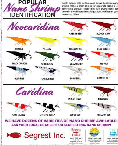 Tropical Fish Hobbyist - Jan/Feb 2022 Segrest Inc.