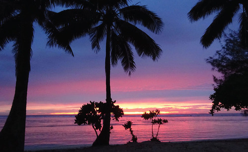 Tropical Fish Hobbyist - May/Jun 2022 Exploring the Reefs of Rarotonga ...