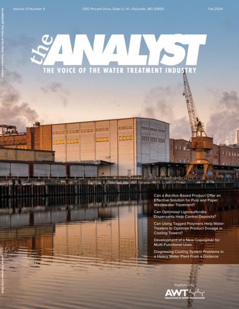 The Analyst - Summer 2024 : Page Cover The Analyst - Summer 2024 : Page Cover