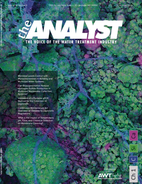 The Analyst - Cover