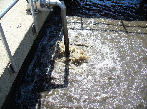 Water Environment Technology - April 2022 Nuisance Odors: No Longer ...