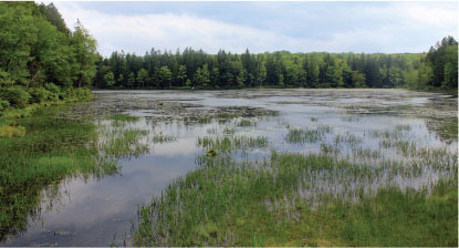 Water Environment Technology - May 2021 Study Quantifies Role of ...